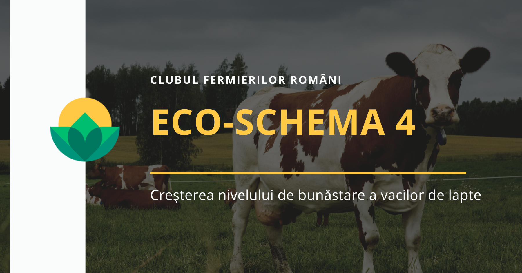 PNS pe înțelesul tuturor: Eco-schema 4