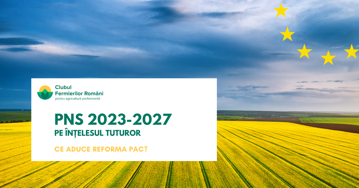 PNS pe înțelesul tuturor: Ce aduce reforma PAC?