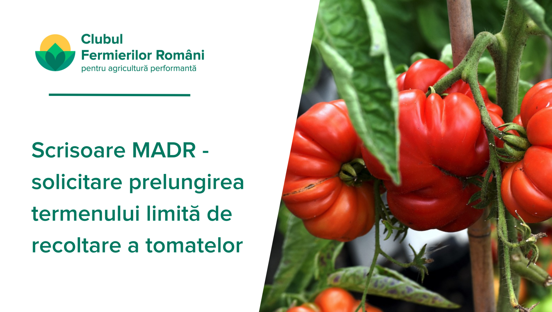 Scrisoare MADR privind solicitarea prelungirii termenului limită de ...