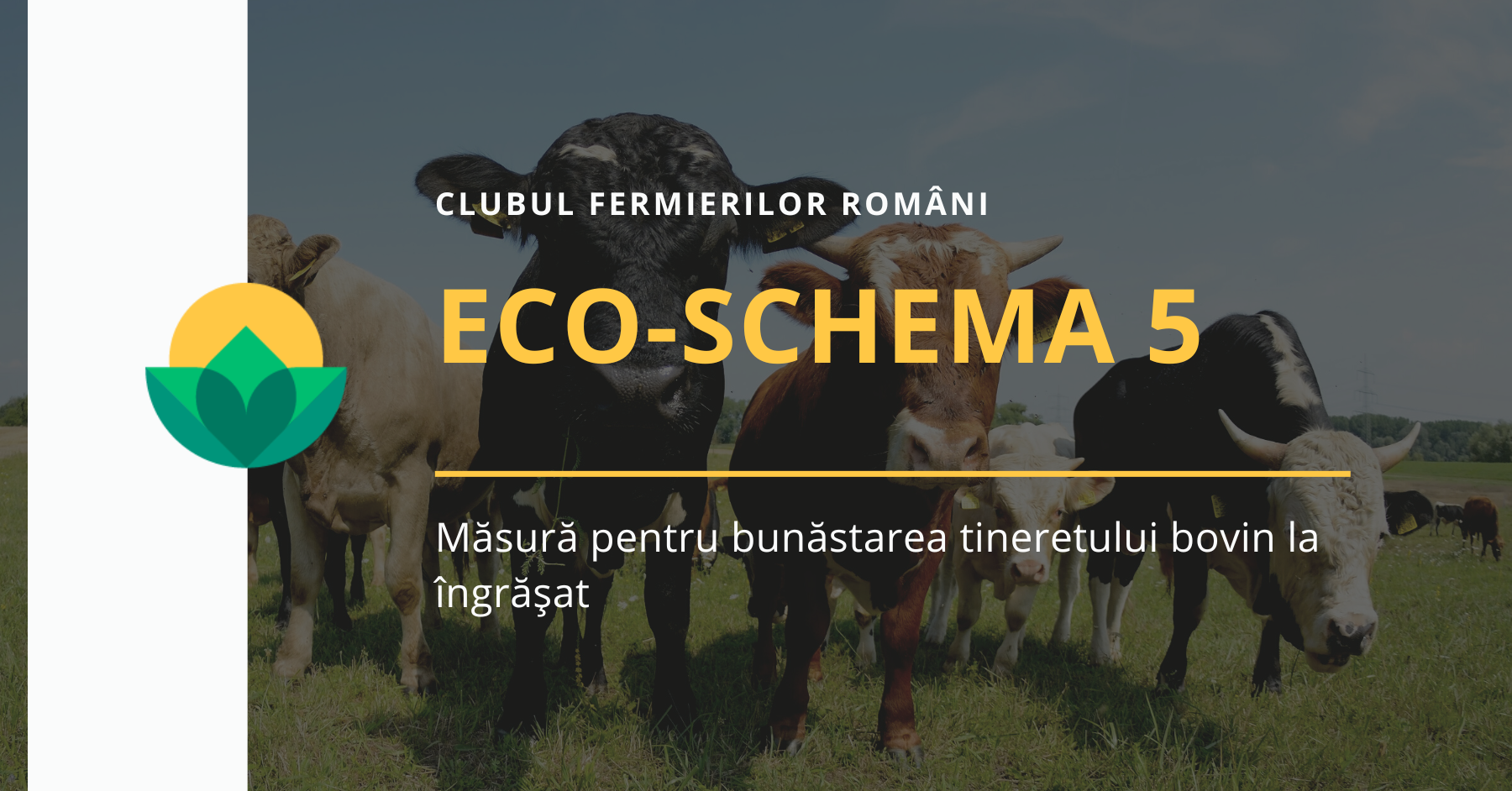 PNS pe înțelesul tuturor: Eco-schema 5